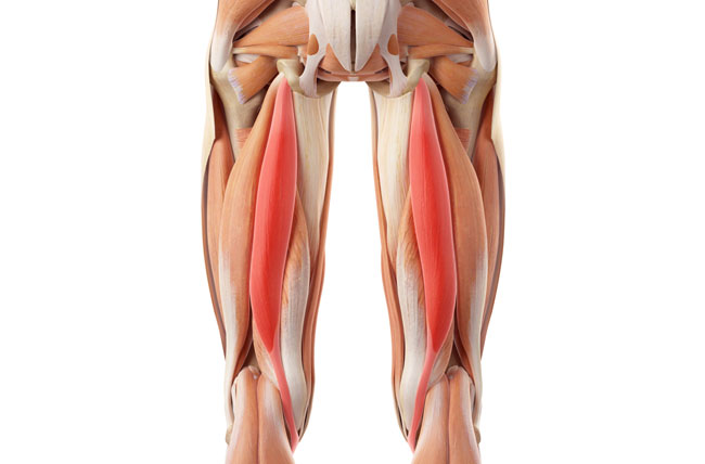 Hip Surgery – Dr. Nolan Horner
